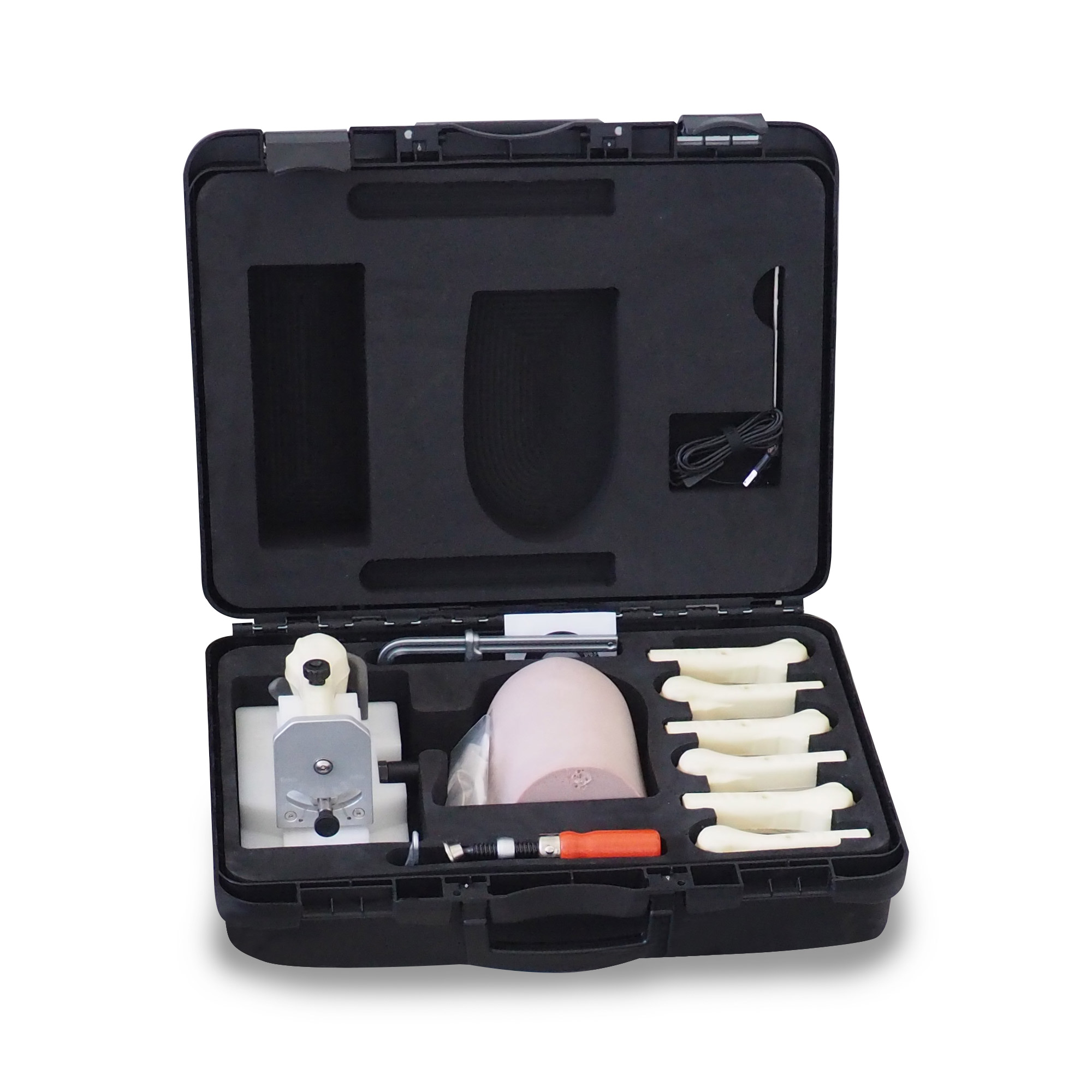 Shoulder Model - Dexter